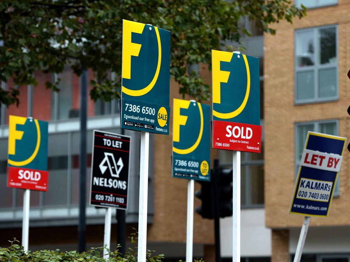 Board Management - LETTINGSONS